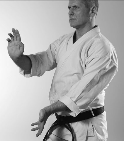 The Difference Between Do and Jutsu - Naka Ima