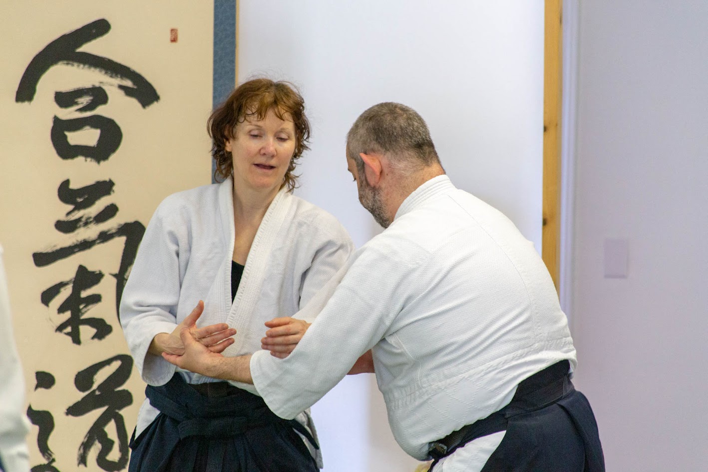 For the Love of Practice: Deepening Your Aikido Practice Through Seminars - Naka Ima
